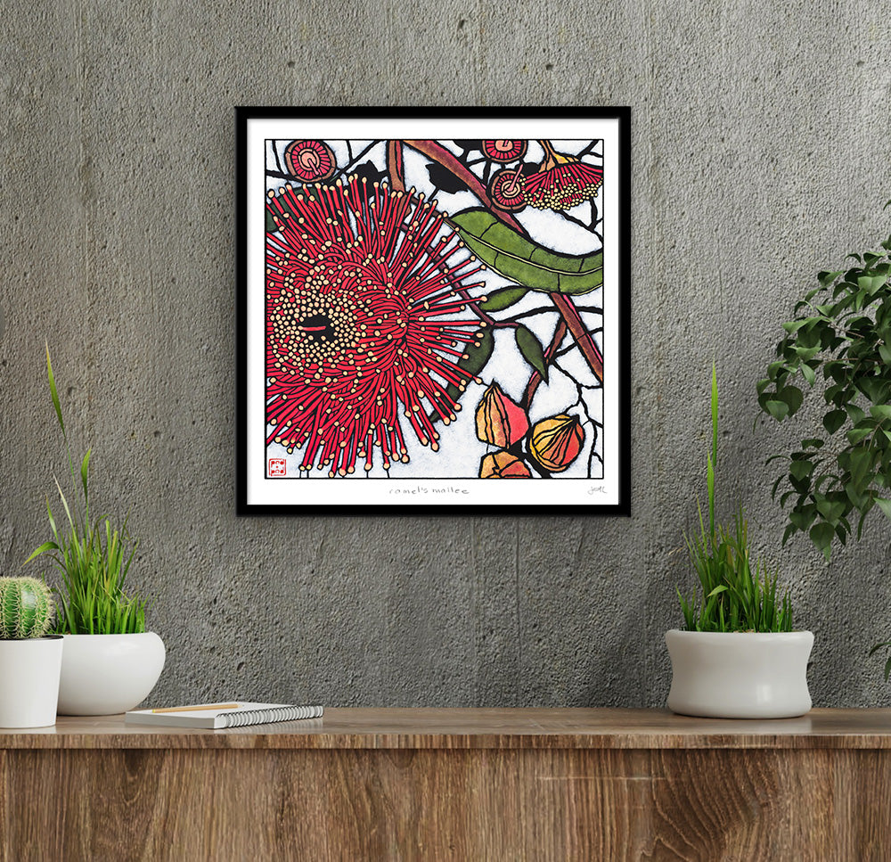 australian botanical archival prints – pod & pod